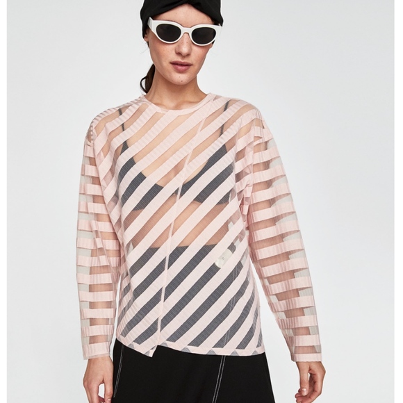 Zara Tops | Zara Pink Sheer Striped Long Sleeve Blouse | Poshmark